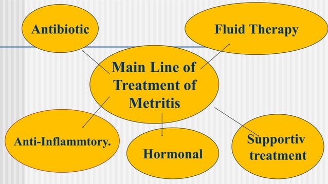 Part 3 Postpartum Metritis in Farm Animals(Causes- Signs and Main Line ...