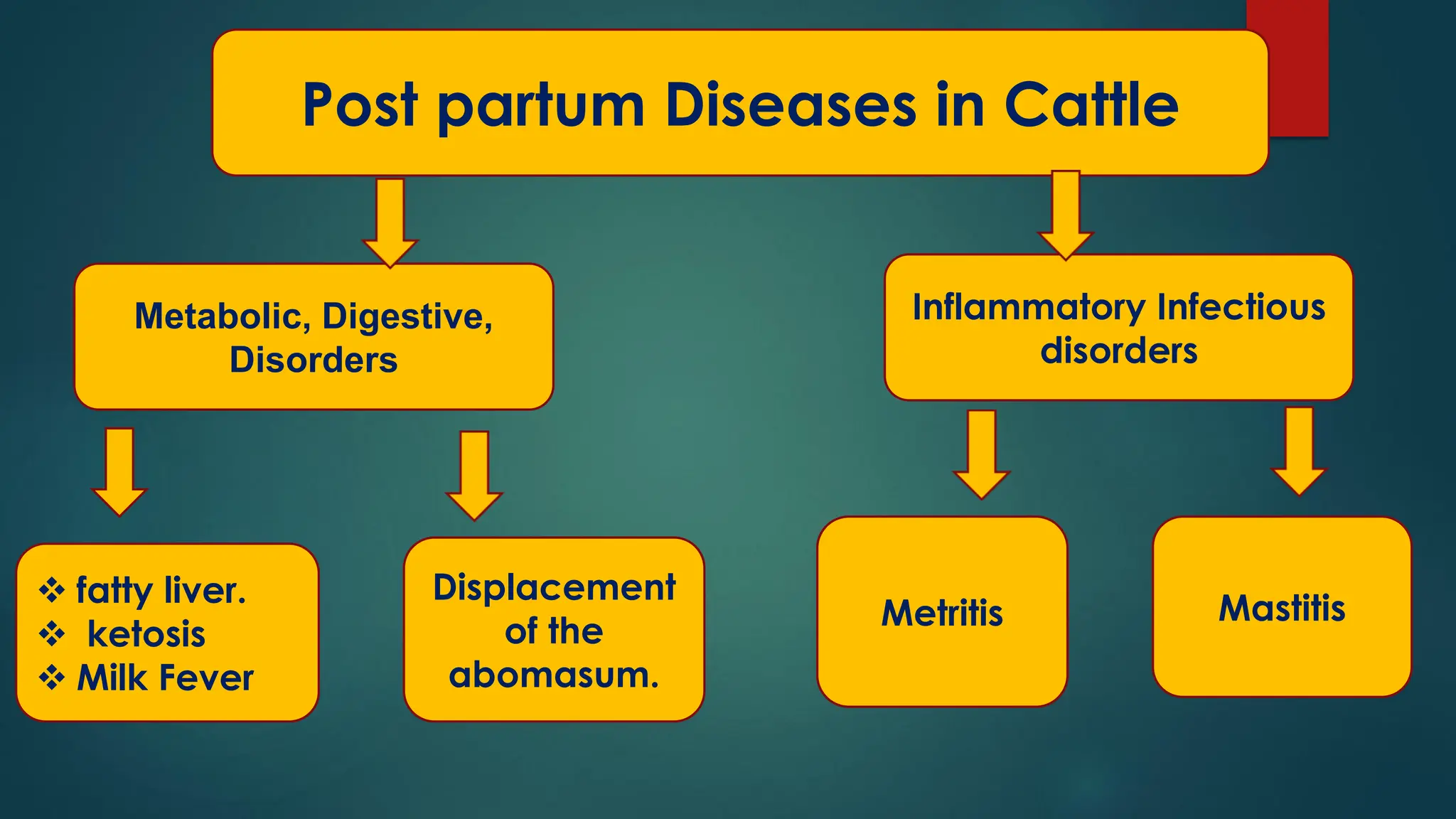 Part 3 Postpartum Metritis in Farm Animals(Causes- Signs and Main Line ...
