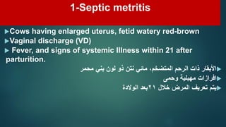 Part 3 Postpartum Metritis in Farm Animals(Causes- Signs and Main Line ...