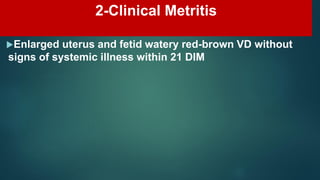Part 3 Postpartum Metritis in Farm Animals(Causes- Signs and Main Line ...