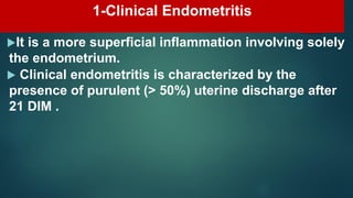 Part 3 Postpartum Metritis in Farm Animals(Causes- Signs and Main Line ...