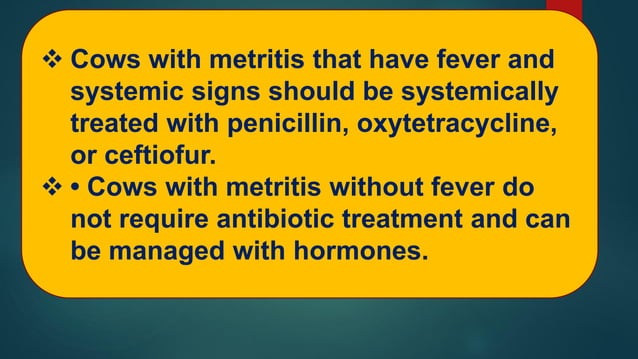 Part 3 Postpartum Metritis in Farm Animals(Causes- Signs and Main Line ...