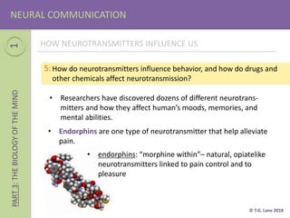 Part 3 (The Biology of Mind) | PPTX