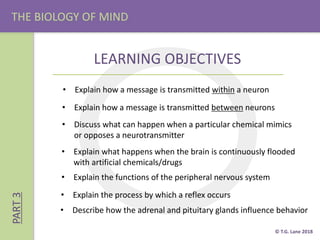 Part 3 (The Biology of Mind) | PPTX