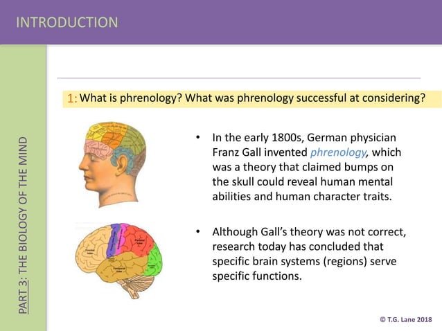 Part 3 (The Biology of Mind) | PPTX