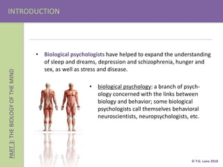 Part 3 (The Biology of Mind) | PPTX