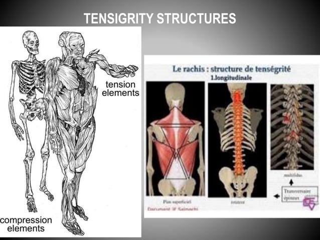 Part 3 Architecture First year Understanding stresses in structures ...