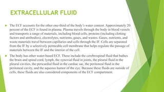 Body Fluids | PPTX