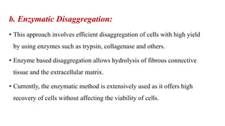 Animal Cell Culture: Growth of animal cells in culture. PHARMACEUTICAL ...