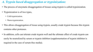 Animal Cell Culture: Growth of animal cells in culture. PHARMACEUTICAL ...