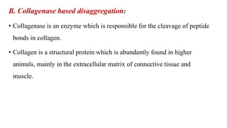 Animal Cell Culture: Growth of animal cells in culture. PHARMACEUTICAL ...