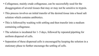 Animal Cell Culture: Growth of animal cells in culture. PHARMACEUTICAL ...