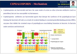 MC - III, Unit - 1, Part 4 - Cephalosporin.pdf