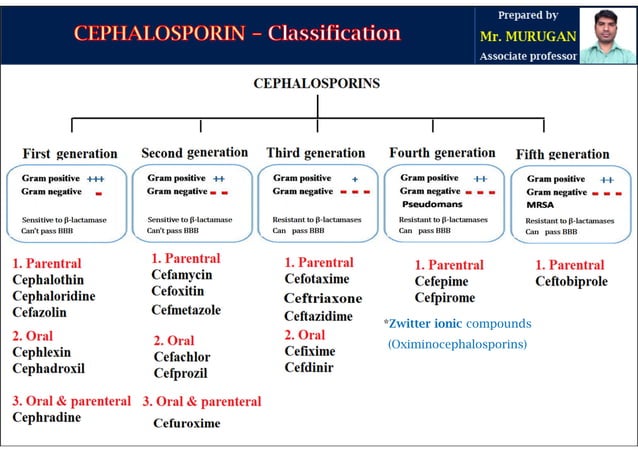 MC - III, Unit - 1, Part 4 - Cephalosporin.pdf