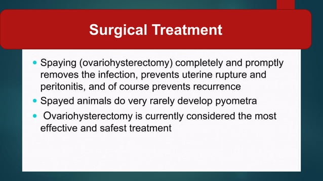 Part 4 Pyometra in Farm Animals Prof Dr Hamed Attia.pdf