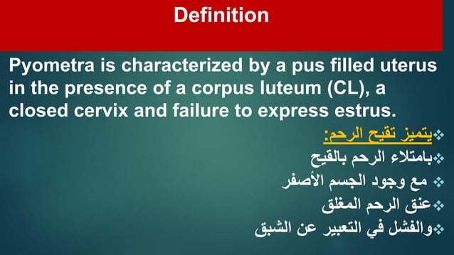Part 4 Pyometra in Farm Animals Prof Dr Hamed Attia.pdf