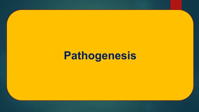 Part 4 Pyometra in Farm Animals Prof Dr Hamed Attia.pdf