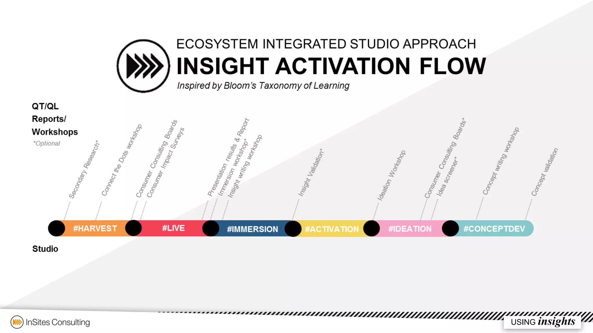 Insight Activation Maturity #updatedversion | PDF