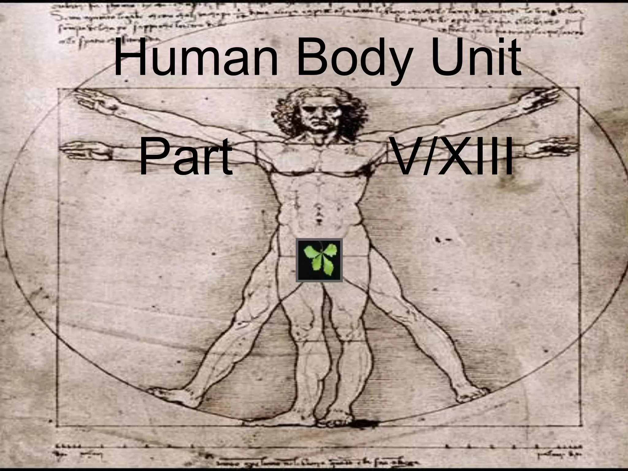 Healthy Eating and Living Lesson PowerPoint, Childhood Obesity, Dangers ...