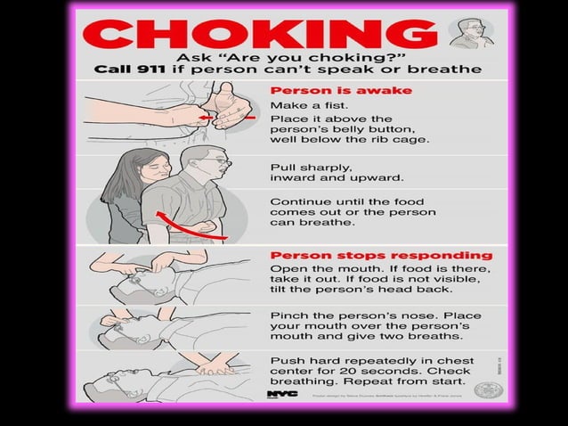 Lesson from the Digestive System Unit, Digestive System Slideshow ...