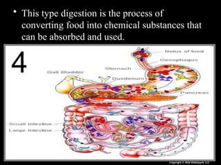 Digestive System Quiz Game, Digestive System Lesson, Middle School ...