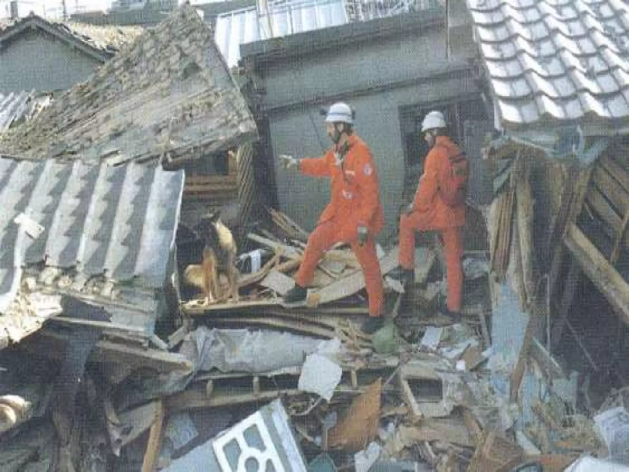 Part 5: Recovery The Five Pillars Of Disaster Resilience | PPT