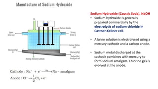 s block elements part 6.pptx