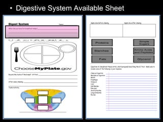 Digestive System Lesson PowerPoint, Digestion, Stomach, Intestine ...
