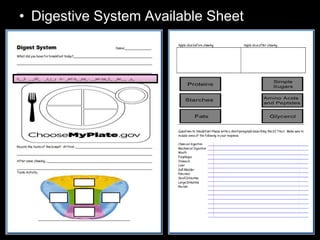 Digestive System Lesson PowerPoint, Digestion, Stomach, Intestine ...