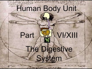 Digestive System Lesson PowerPoint, Digestion, Stomach, Intestine ...
