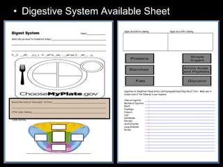 Digestive System Lesson PowerPoint, Digestion, Stomach, Intestine ...