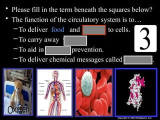 Circulatory System Quiz Game, Middle School Circulatory System ...