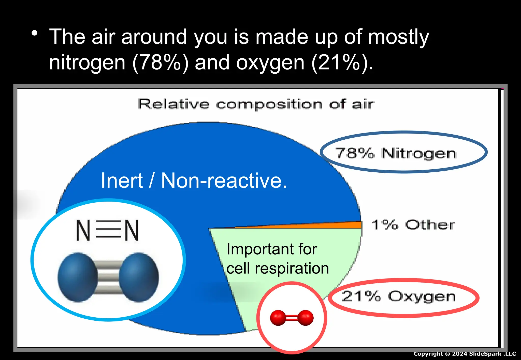 Introduction to the Respiratory System Lesson, Middle School ...