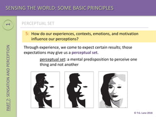 Part 7 (Sensation and Perception) | PPTX