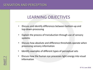 Part 7 (Sensation and Perception) | PPT