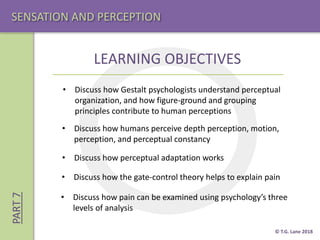 Part 7 (Sensation and Perception) | PPT