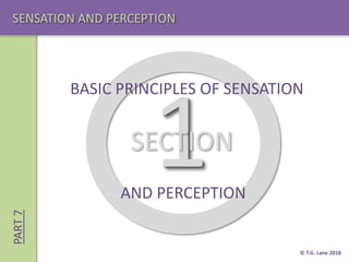 Part 7 (Sensation and Perception) | PPT