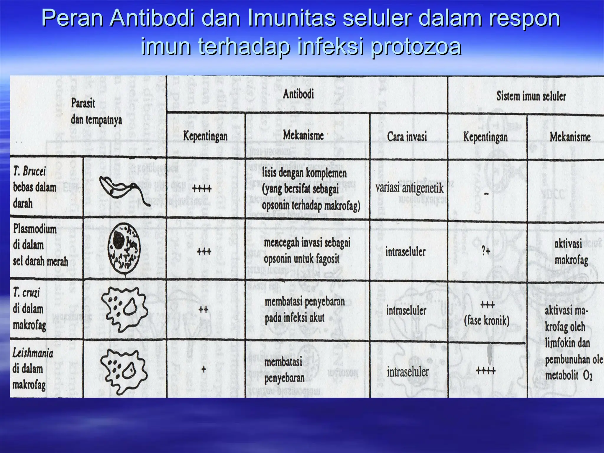 Part 9 - Imunologi Cacing (parasit) prodi farmasi.ppt
