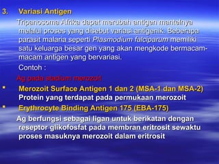 Part 9 - Imunologi Cacing (parasit) prodi farmasi.ppt