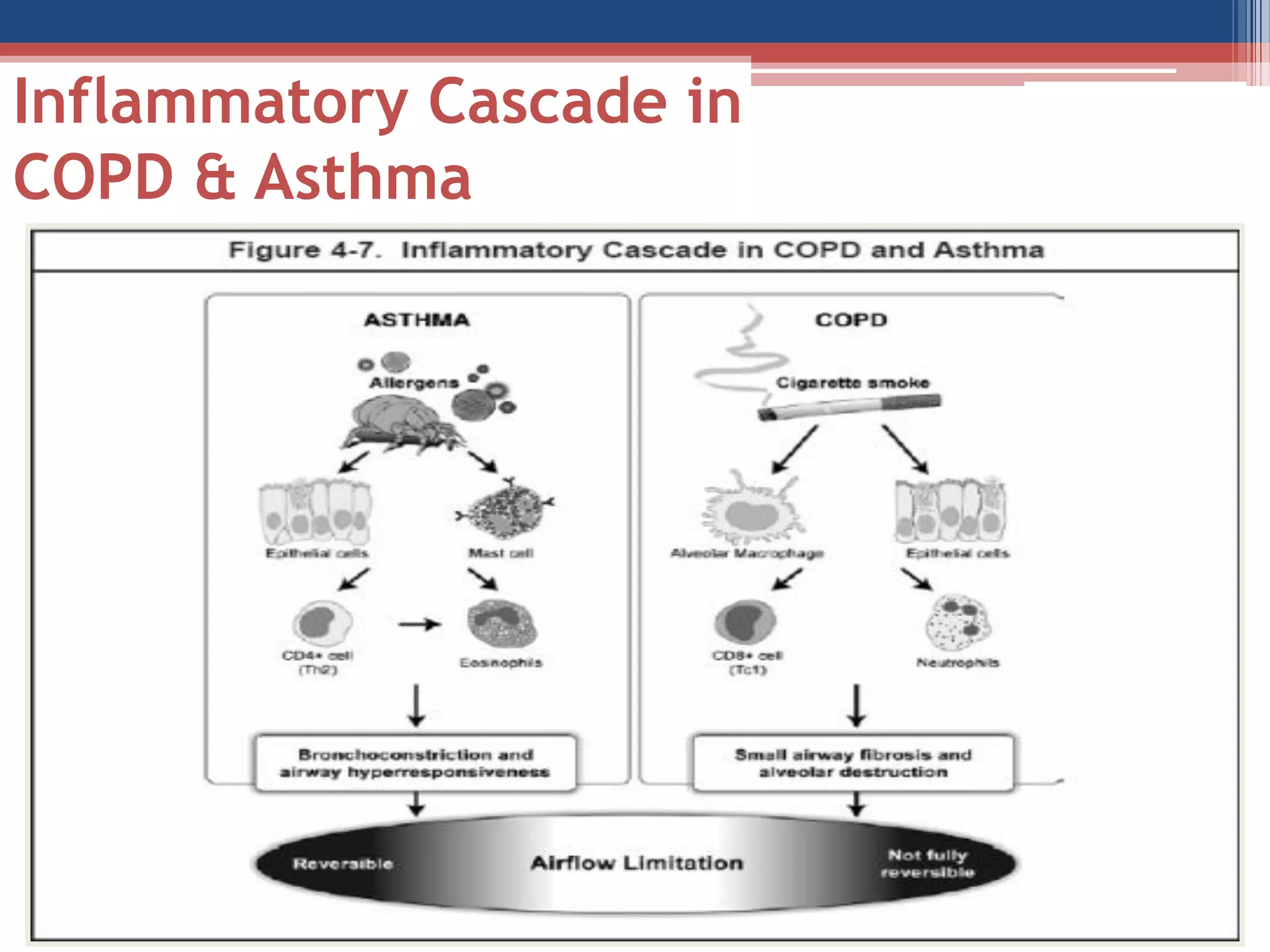 COPD Lecture 9 spirometry of obstructive lung diseases | PDF