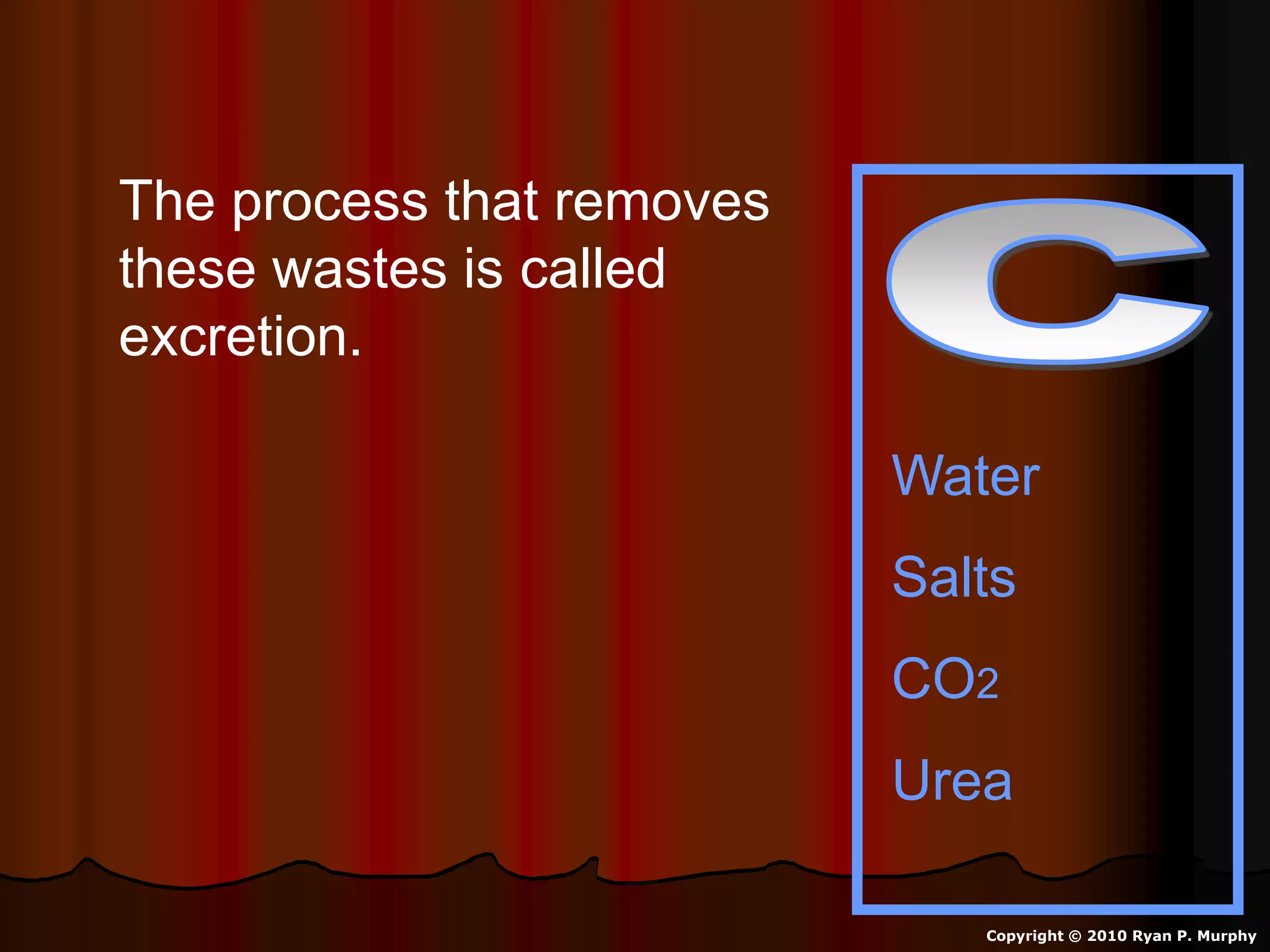 The Excretory System Lesson PowerPoint, Kidneys, Bladder, Skinn and ...