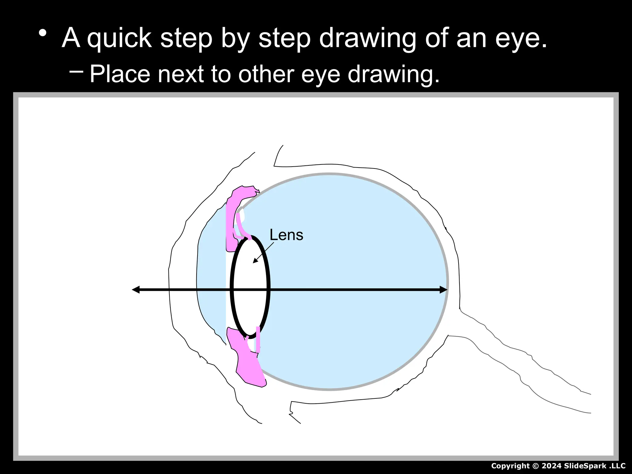 Lesson about Eyes, Nervous System Unit, Middle School Science Lesson ...