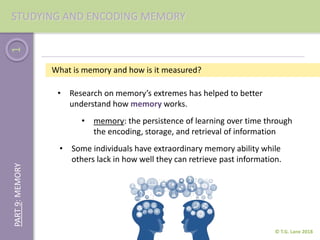 Part 9 (Memory) | PPT
