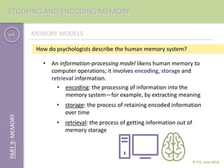 Part 9 (Memory) | PPT