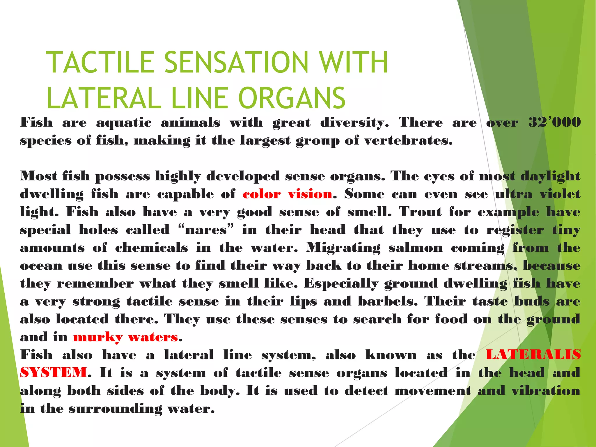 Part and functions of fish organs | PPT