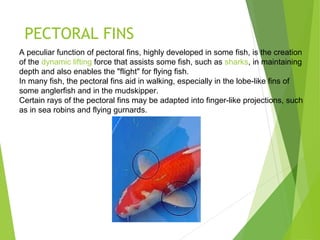 Part and functions of fish organs | PPT