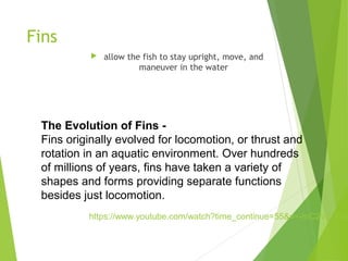 Part and functions of fish organs | PPT