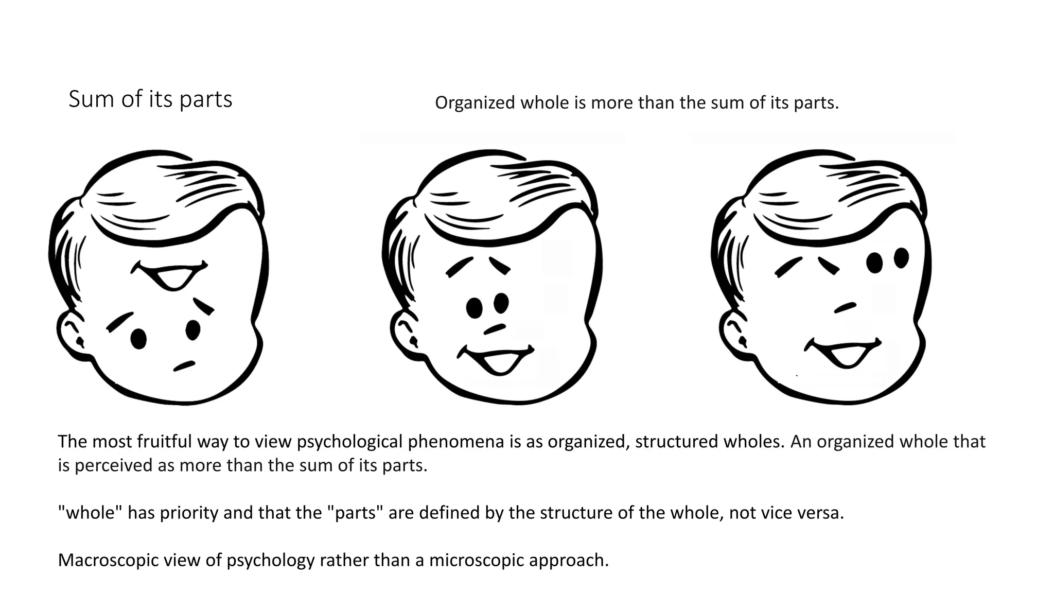 Part and whole | PPTX | Science