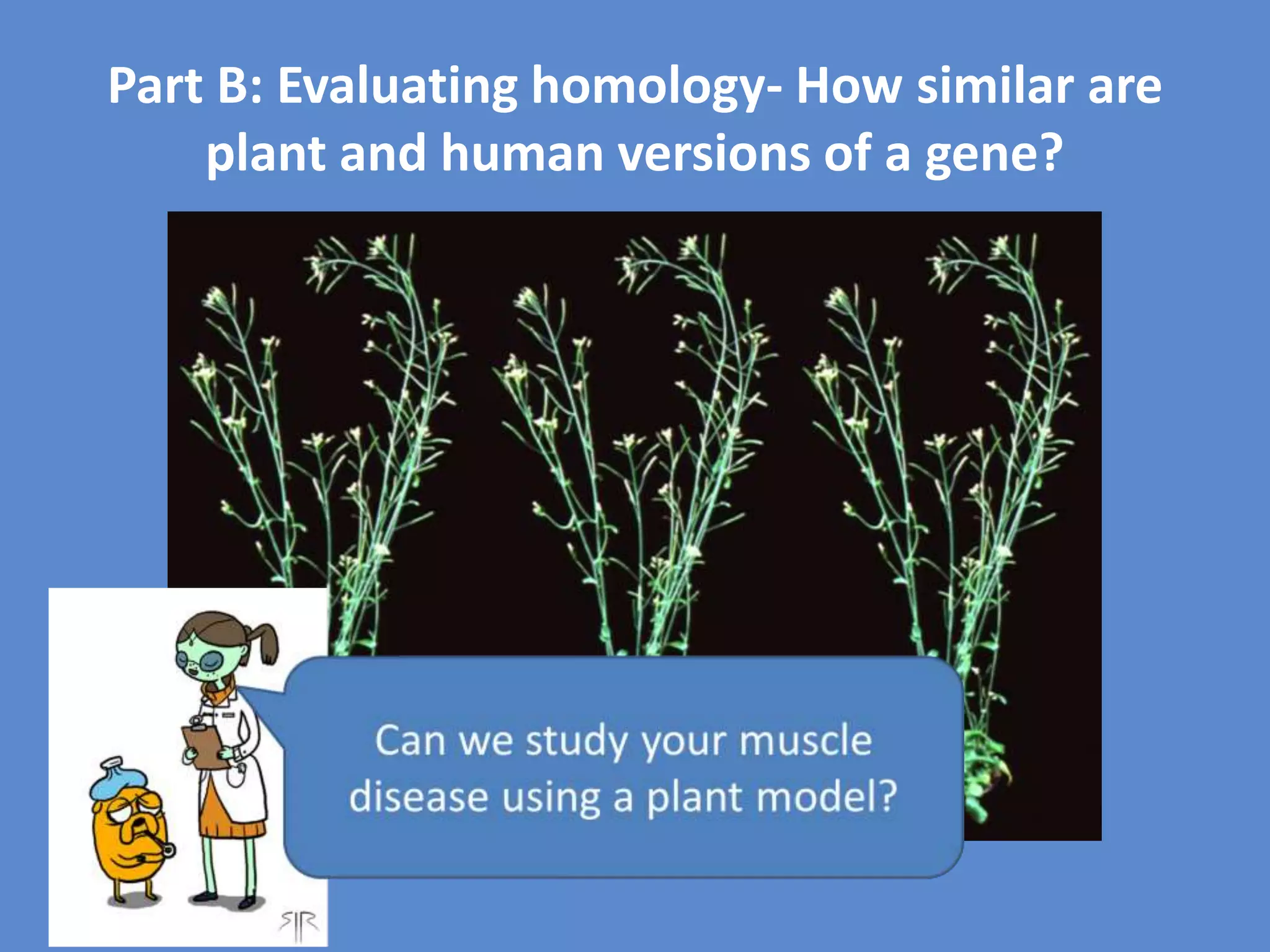 Introduction to Gene Mining: Part B: How similar are plant and animal ...