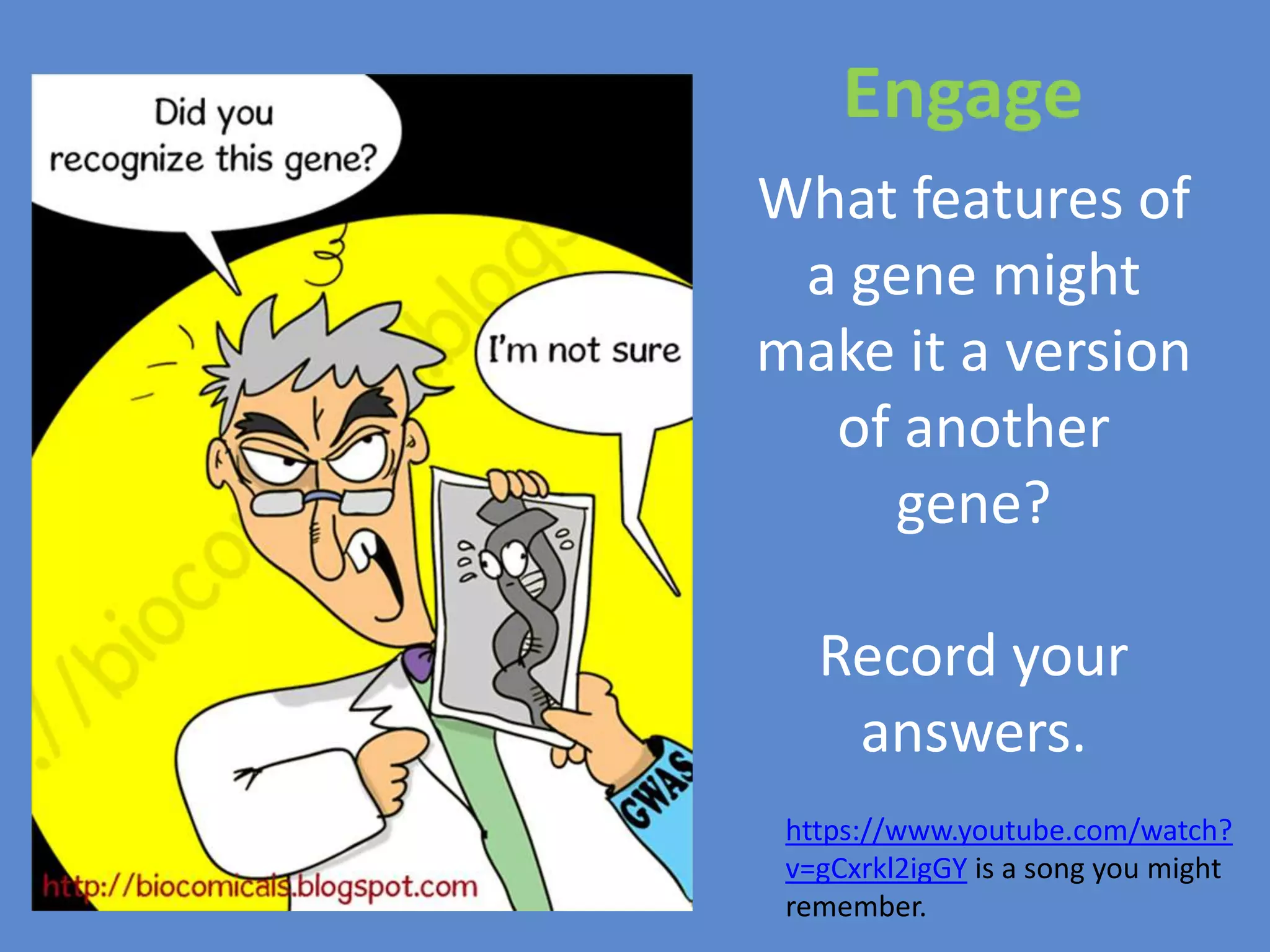 Introduction to Gene Mining: Part B: How similar are plant and animal ...